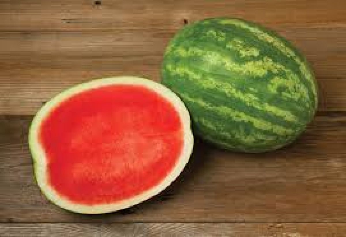 Alard Altayeba - Dark Striped Seeded Watermelon: